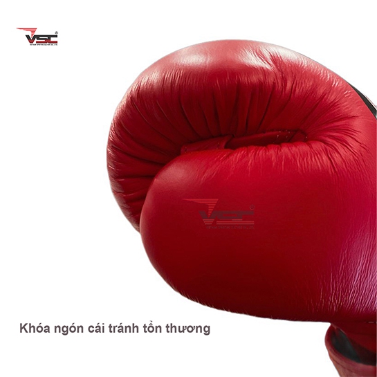 Găng tay Twins BGVL11 Boxing Gloves